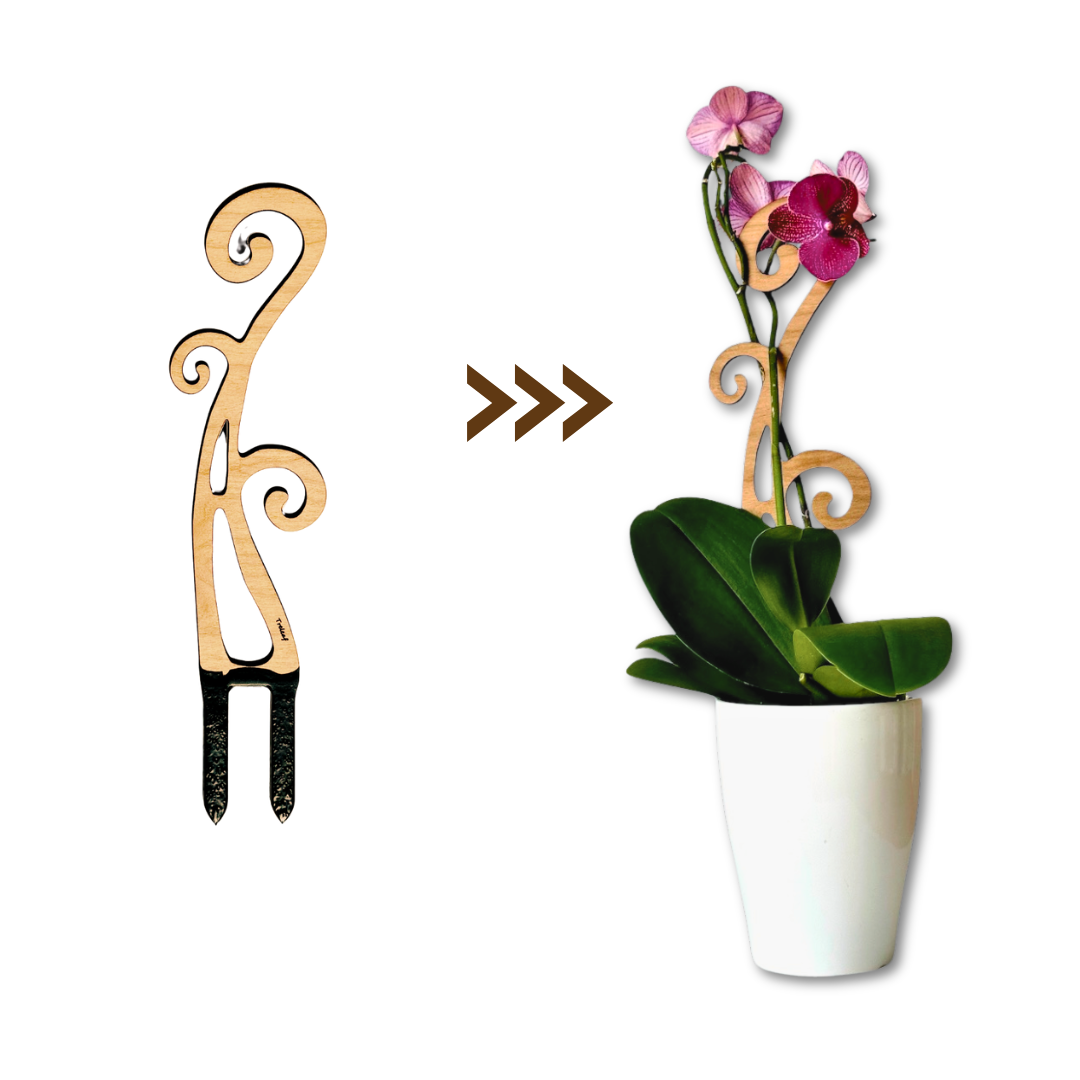 Flora - Plant trellis designed for Orchids | The Plant Attraction