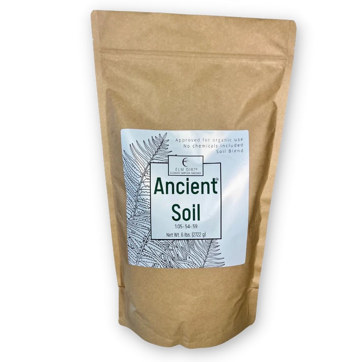Ancient Soil: Organic Living Soil for Thriving Plants By Elm Dirt | The ...