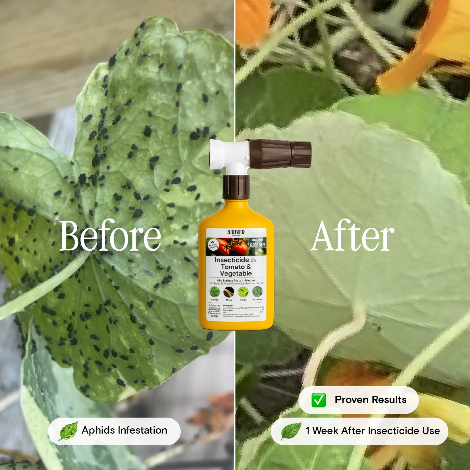 Organic Insecticide for Tomato & Vegetable Plants By Arber | The Plant ...