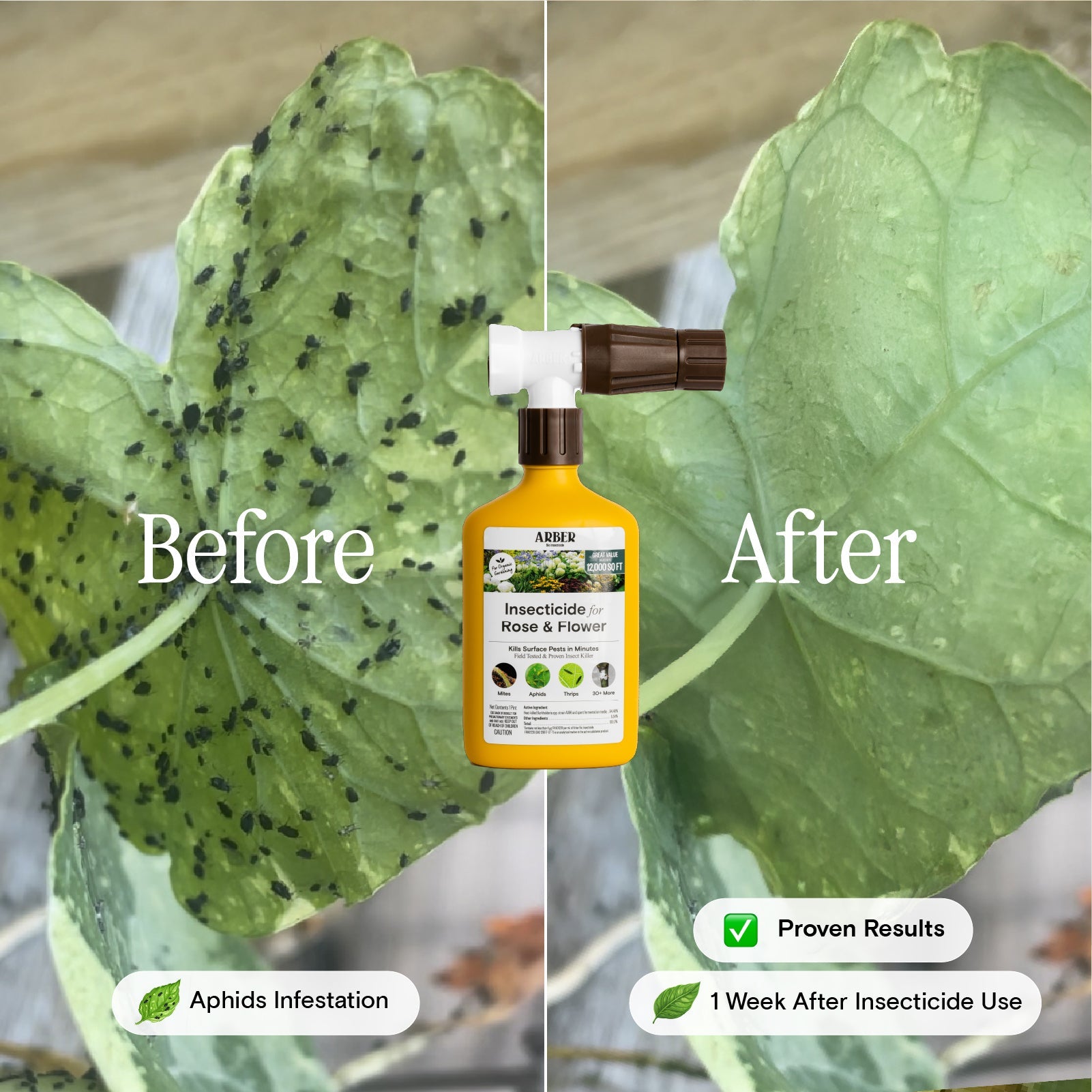 Organic Insecticide for Rose & Flower Plants By Arber | The Plant ...