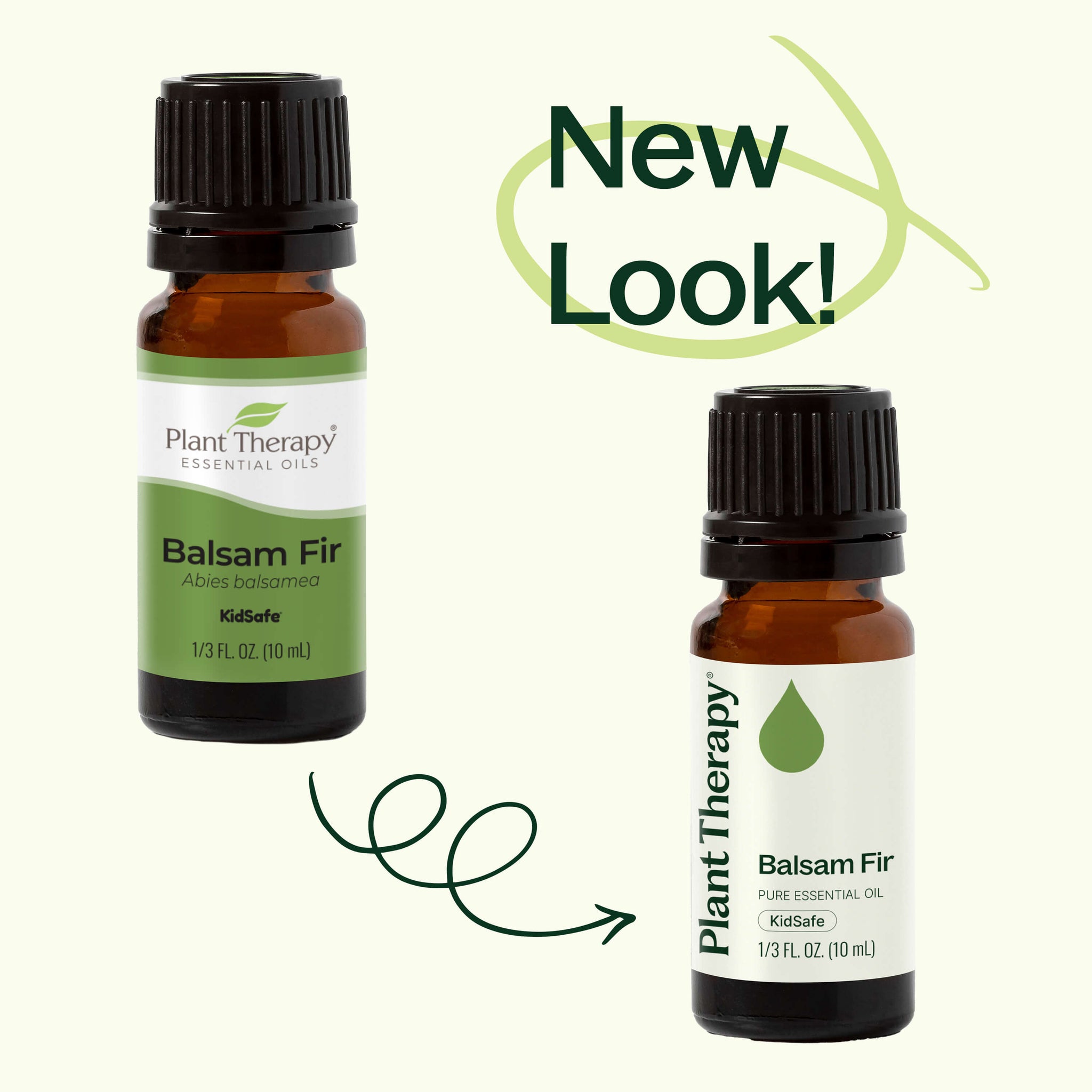 Balsam Fir Essential Oil By Plant Therapy | The Plant Attraction