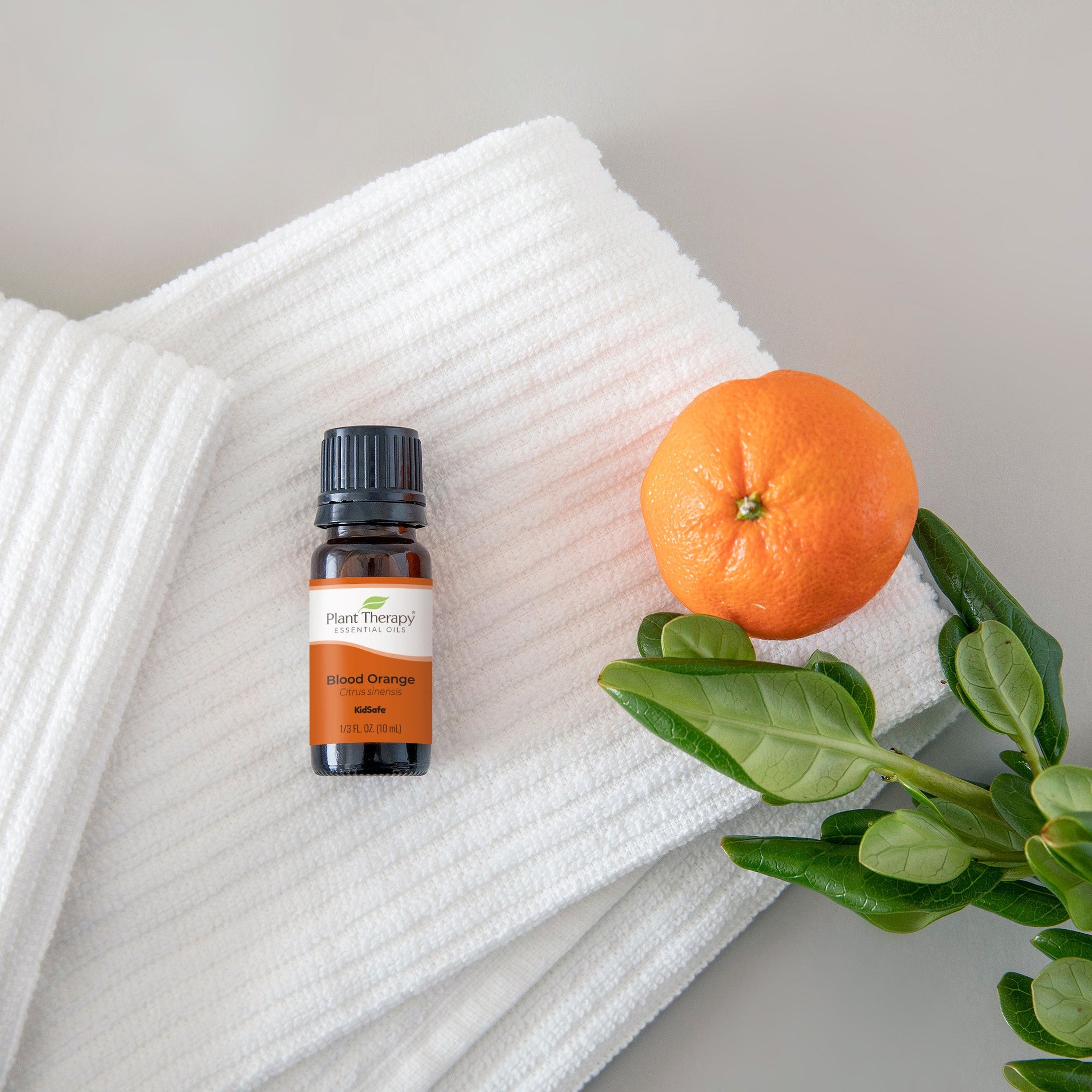Blood Orange Essential Oil By Plant Therapy | The Plant Attraction