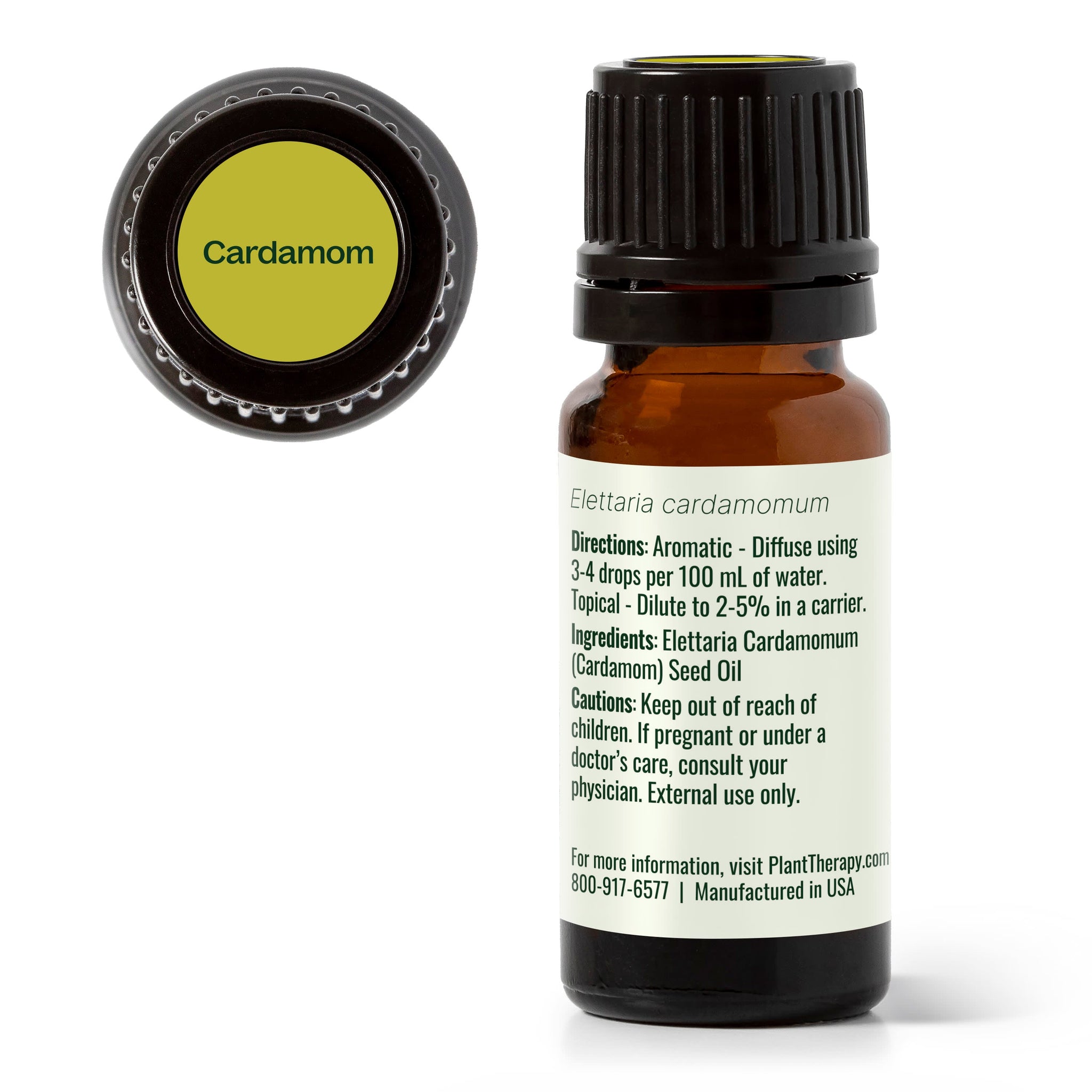 Cardamom Essential Oil By Plant Therapy | The Plant Attraction