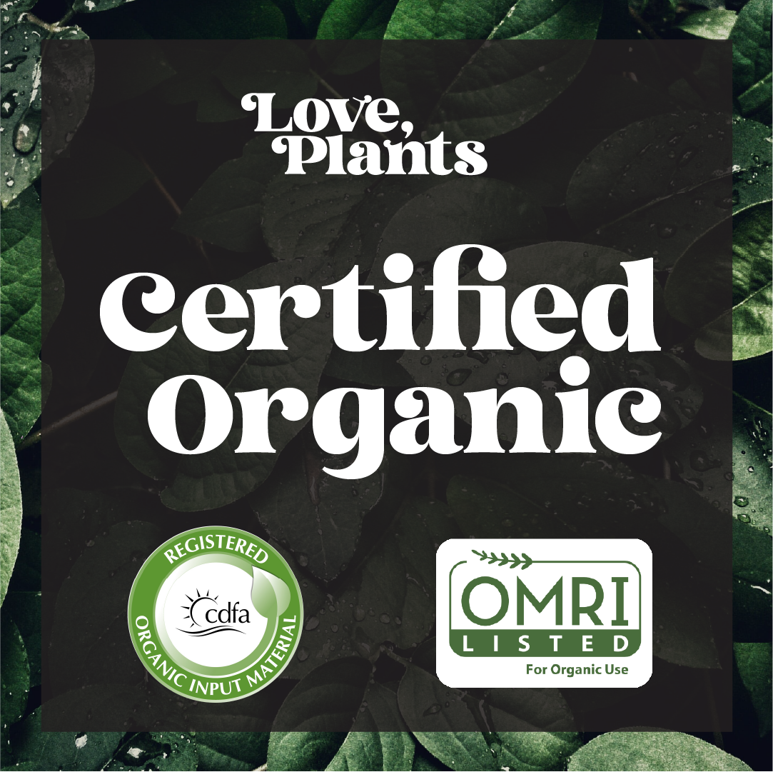 Fertile Garden Formula By Love Plants | The Plant Attraction