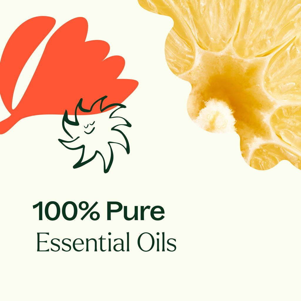 Citrus Burst Multi-Surface Cleaner 2-Pack By Plant Therapy | The Plant ...