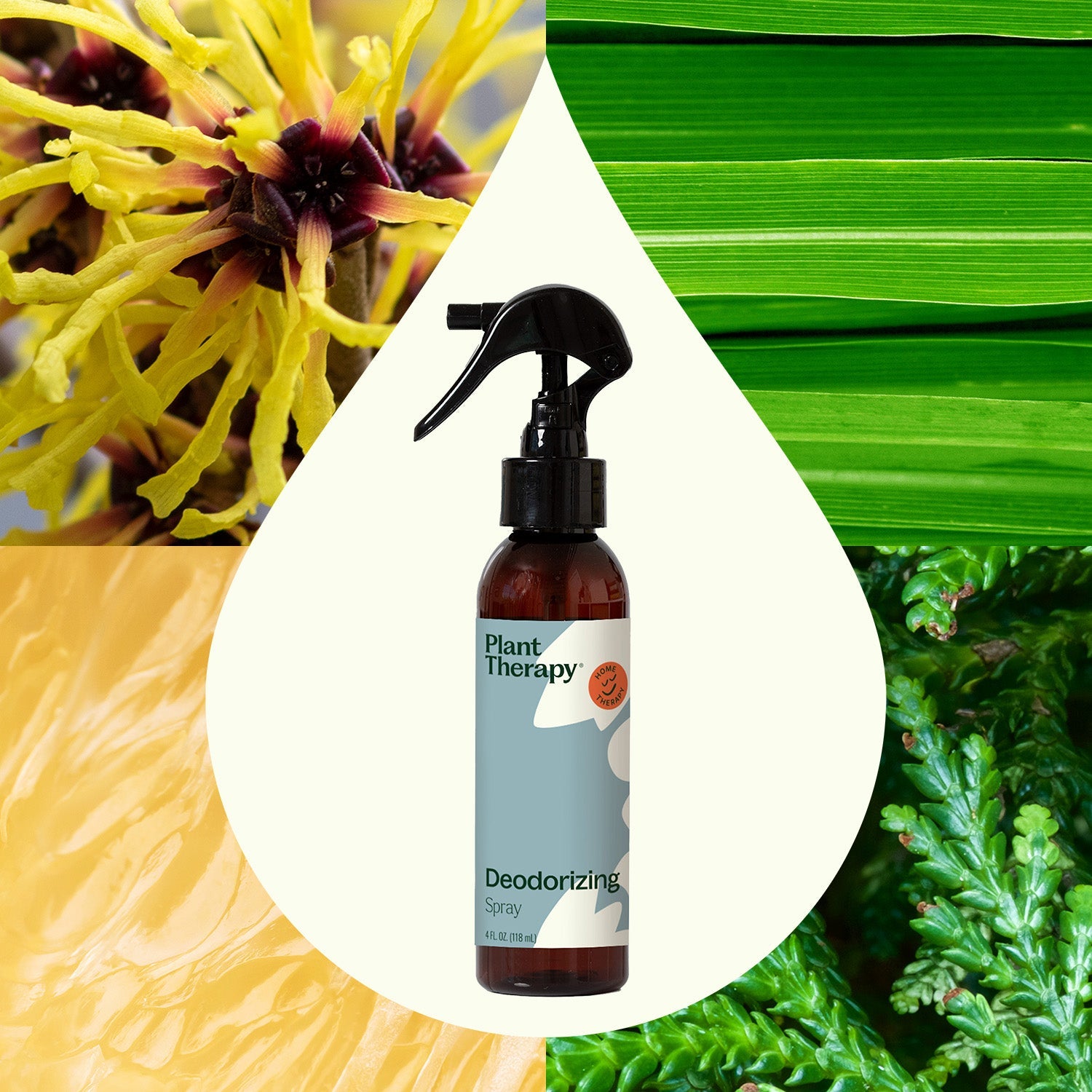 Deodorizing Spray By Plant Therapy | The Plant Attraction