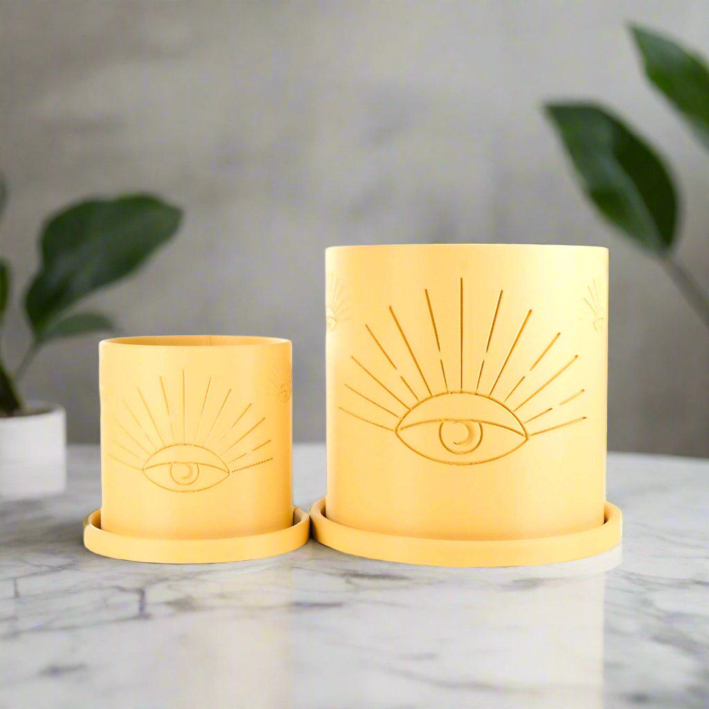 All-Seeing Eye Planter In Many Color Choices | The Plant Attraction
