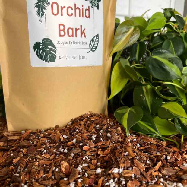 Orchid Bark For Orchid Plant Growing By Elm Dirt | The Plant Attraction
