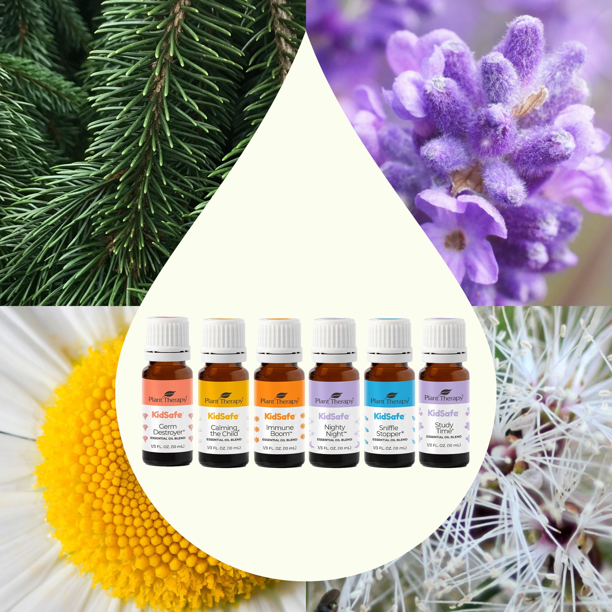 KidSafe Starter Pack 10 mL By Plant Therapy | The Plant Attraction