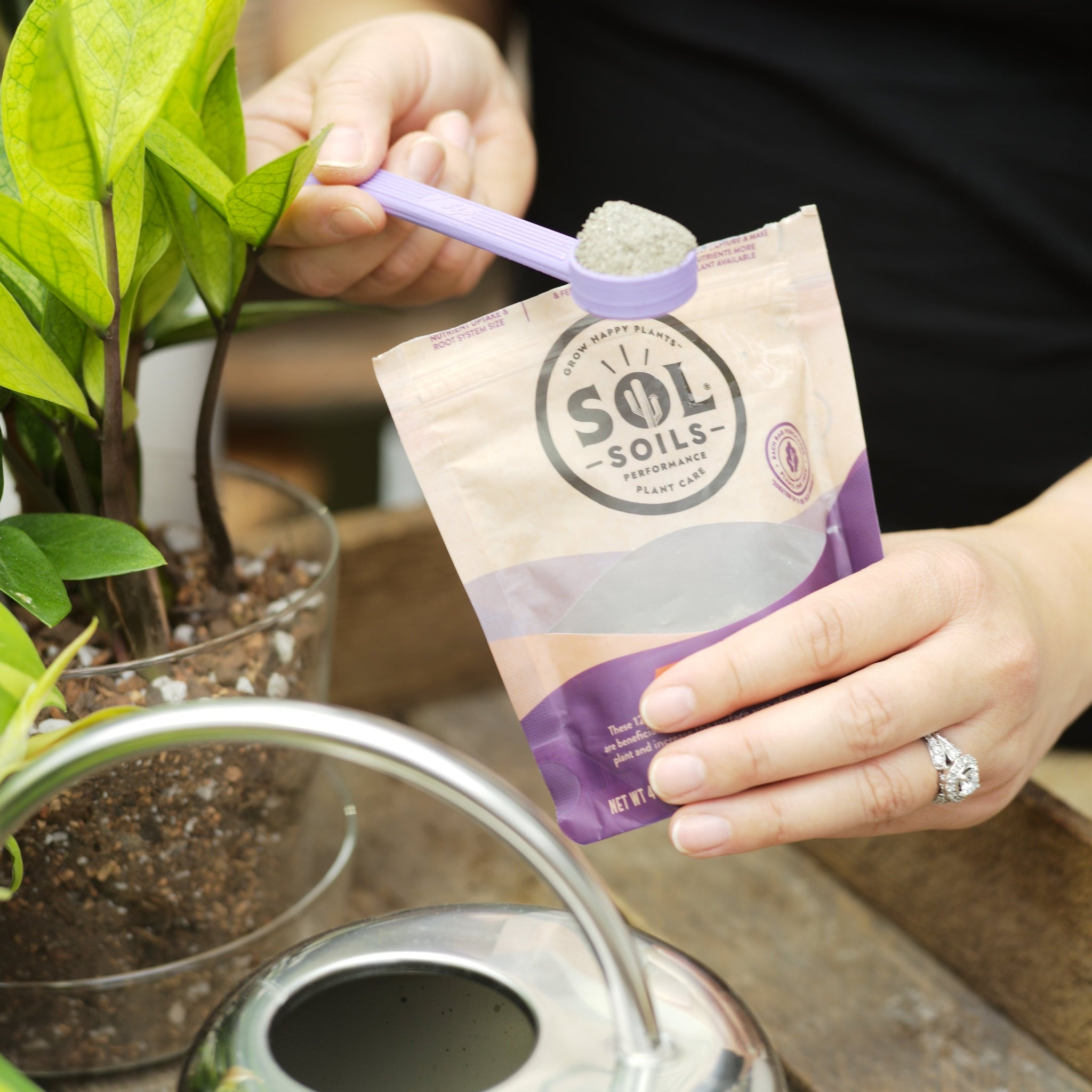 Sol Biotics - Repot Recovery By Sol Soils | The Plant Attraction