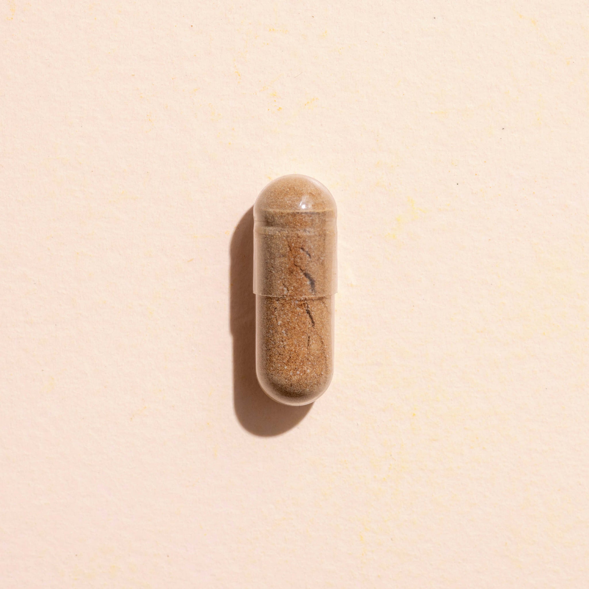 Lion's Mane Herbal Supplement - 120 Capsules By Plant Therapy | The ...