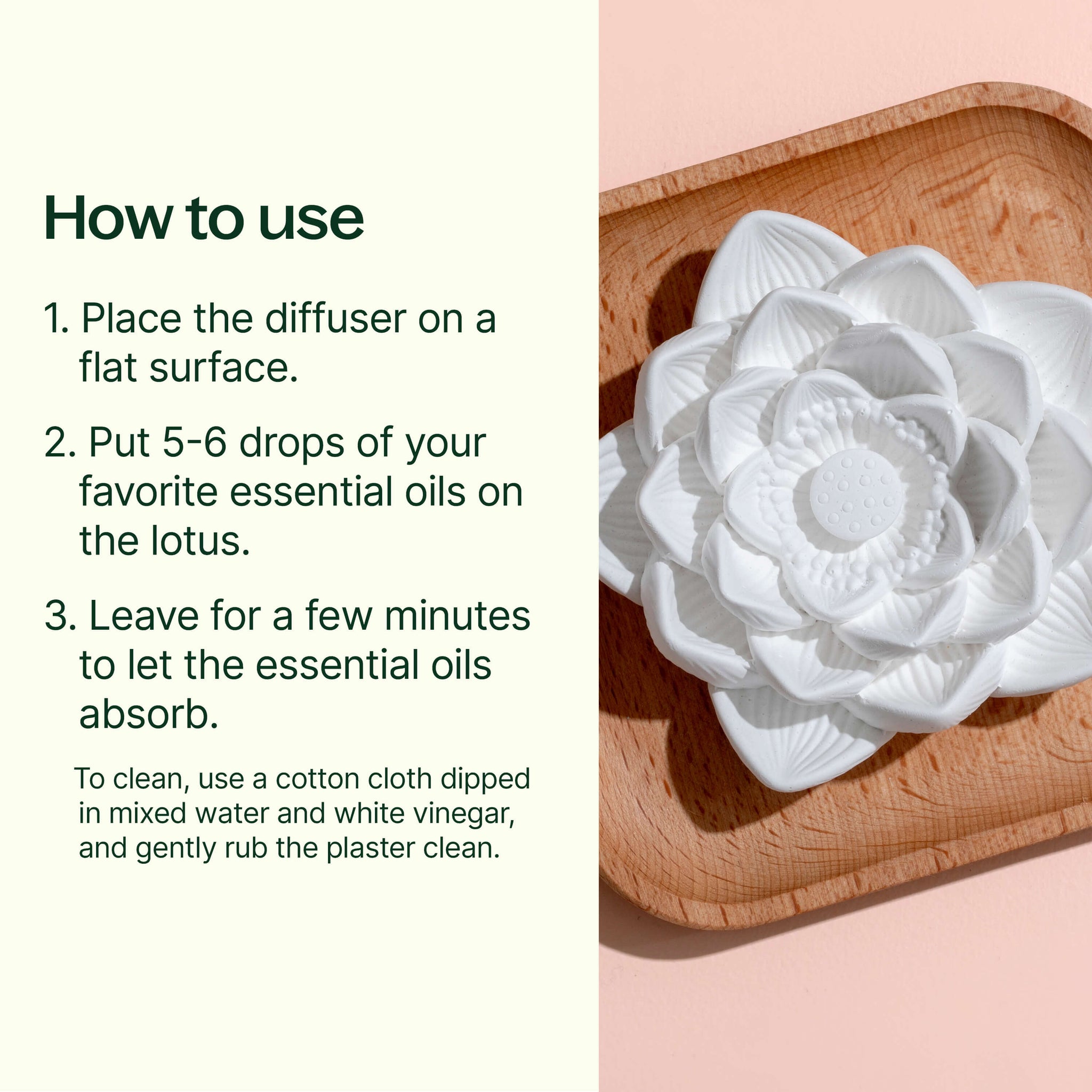 Passive Lotus Diffuser By Plant Therapy | The Plant Attraction