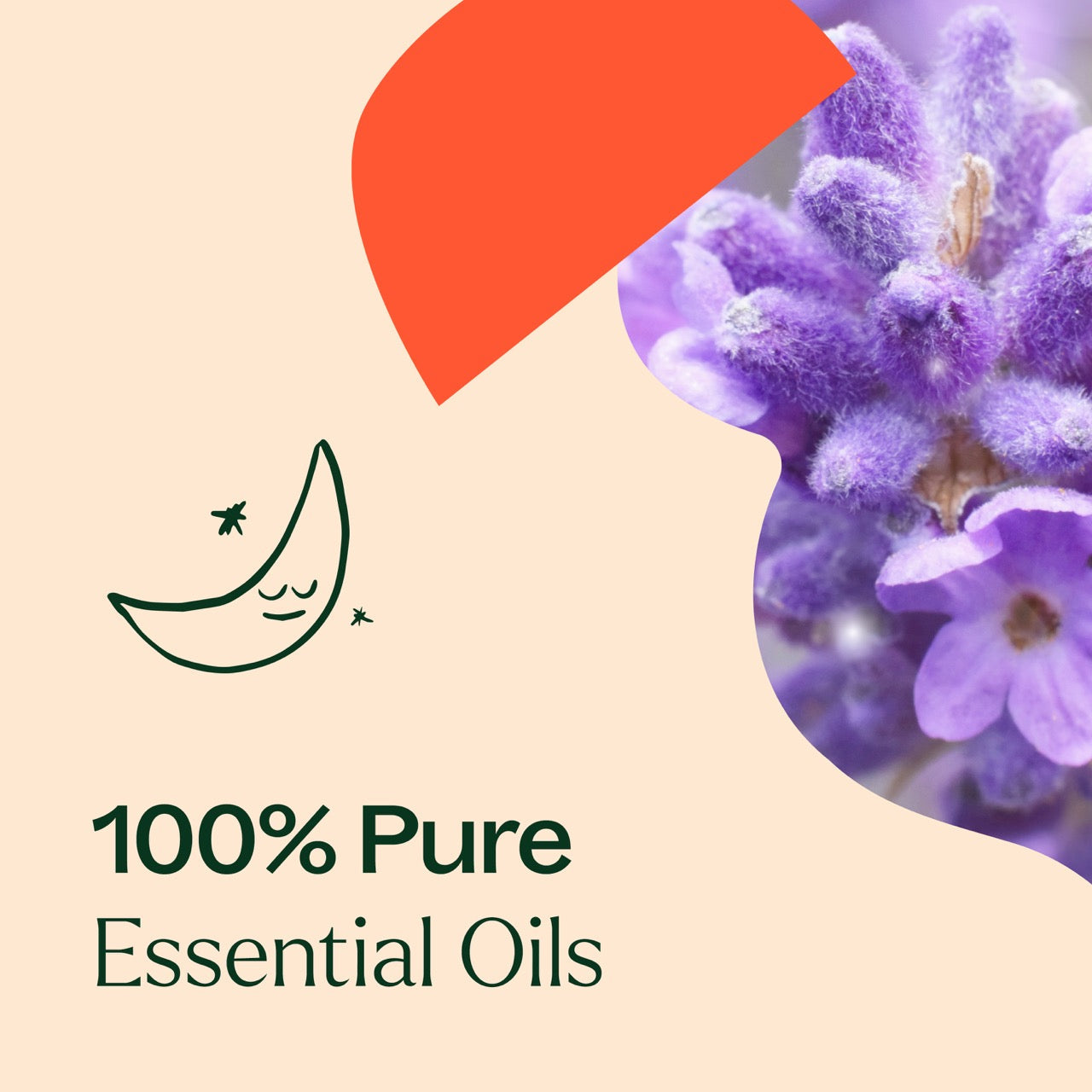 Nighty Night KidSafe Essential Oil By Plant Therapy | The Plant Attraction