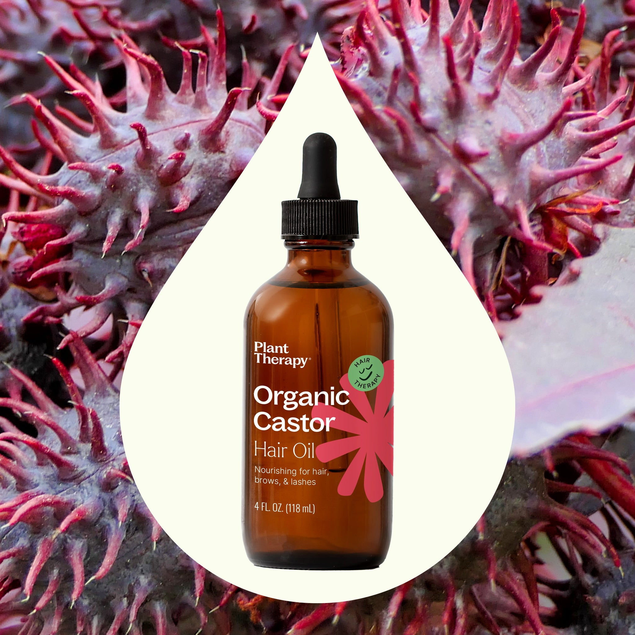 Organic Castor Oil By Plant Therapy | The Plant Attraction