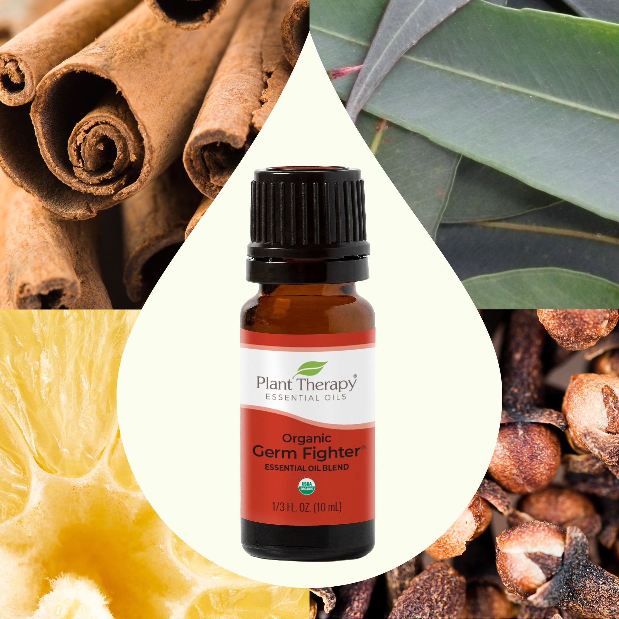 Organic Germ Fighter Essential Oil By Plant Therapy | The Plant Attraction