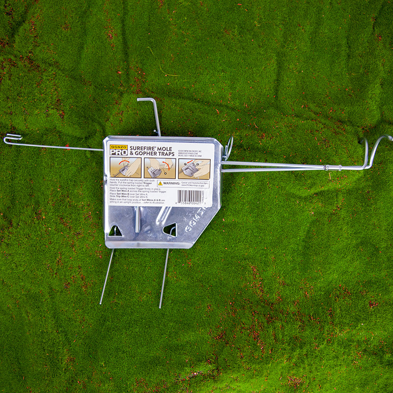 SureFire Gopher Trap | The Plant Attraction