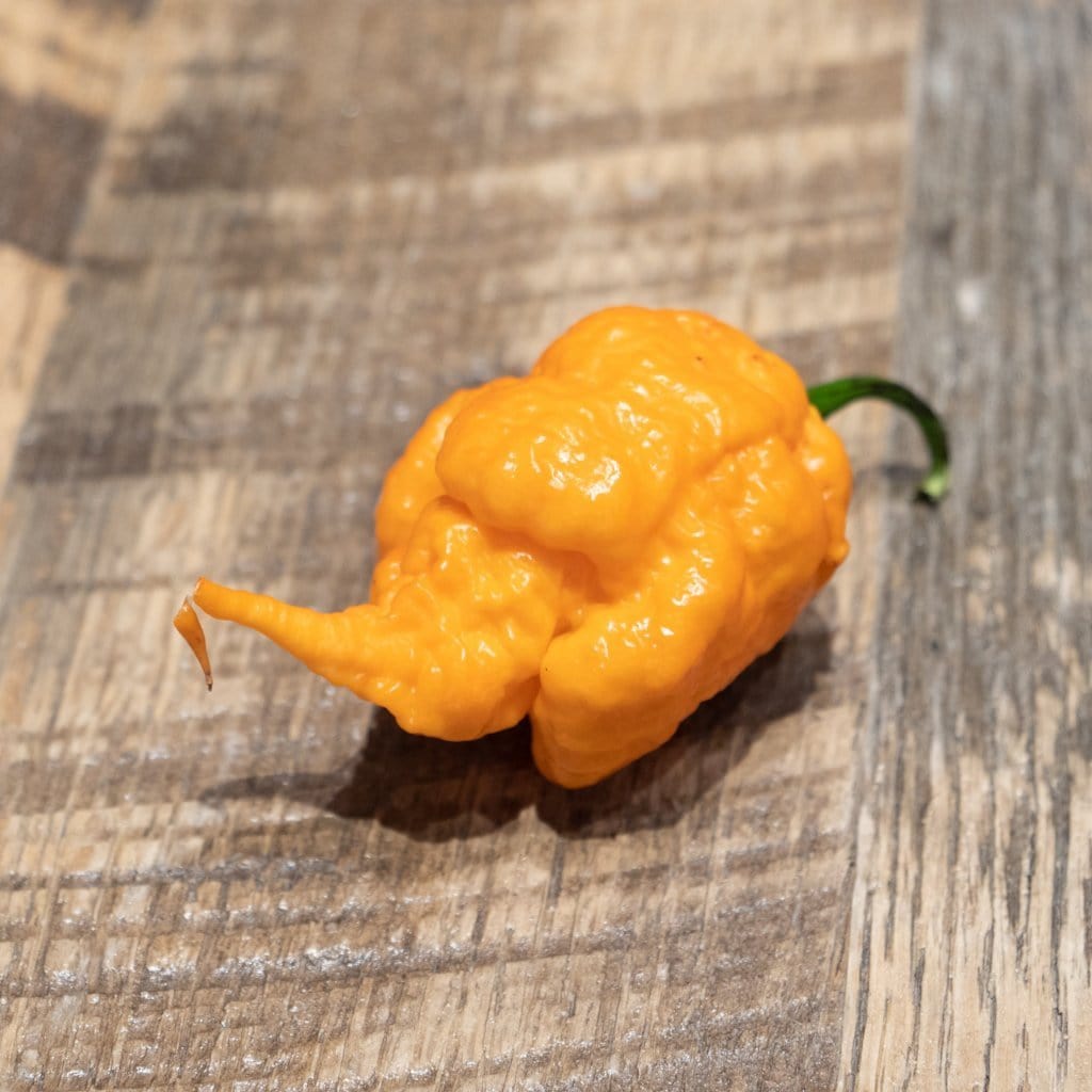 California Reaper Seeds, Insanely hot! Garden Vegetables | The Plant ...