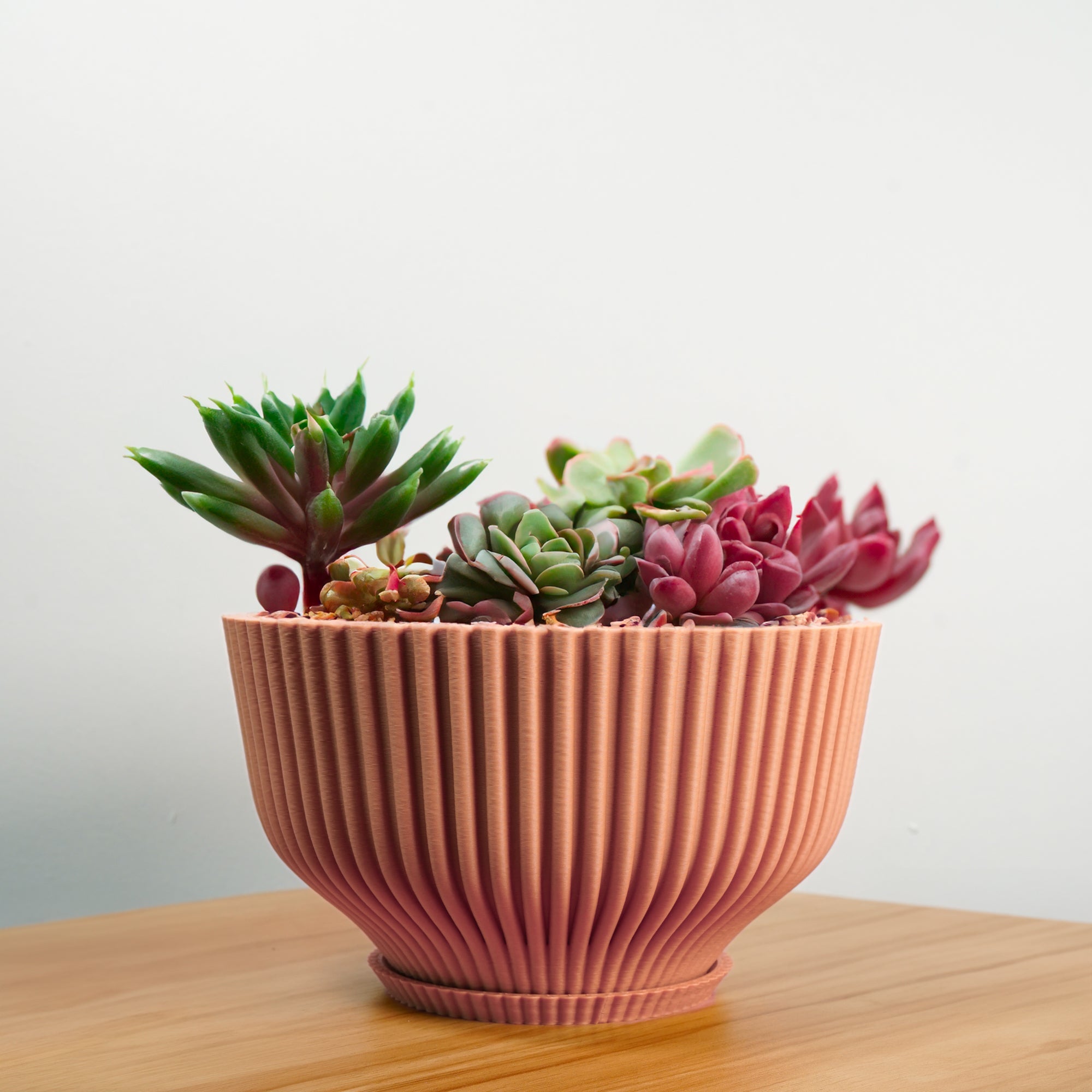Bonsai Pot with Drainage & Tray In Many Colors & Sizes | The Plant ...