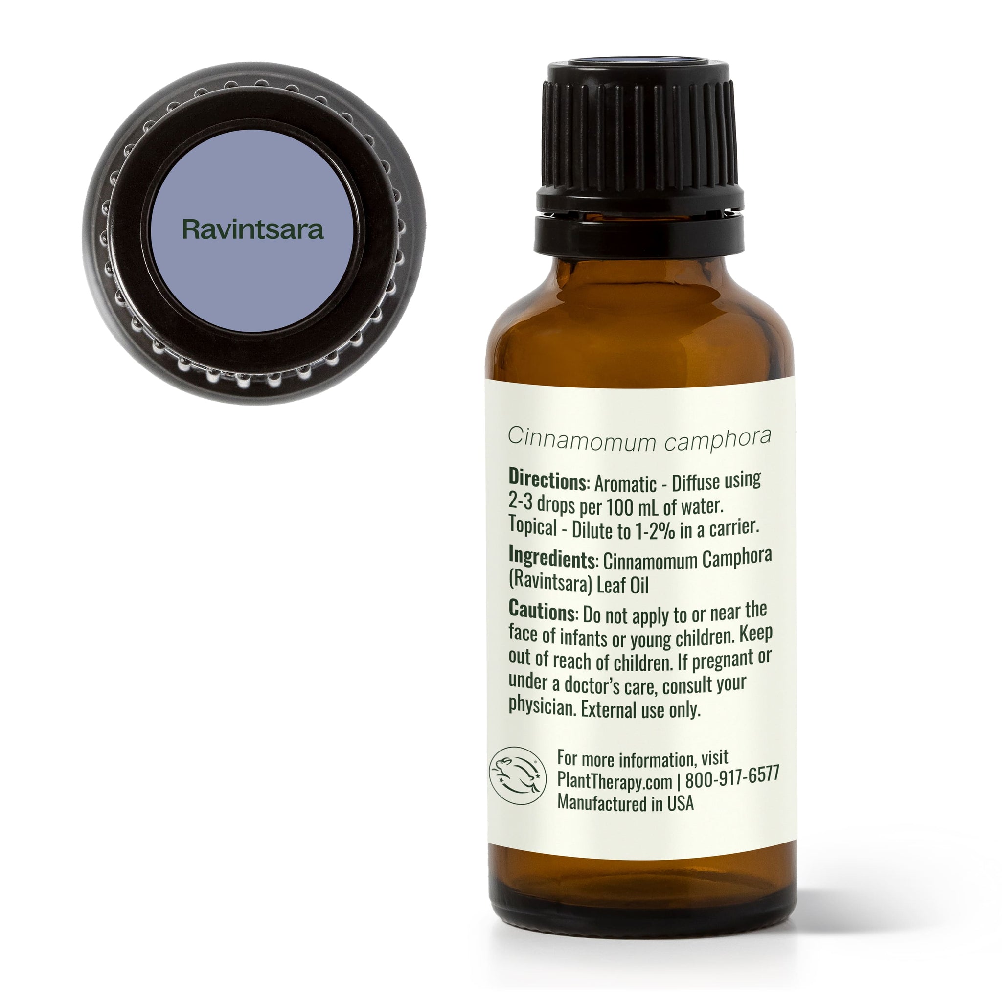 Ravintsara Essential Oil By Plant Therapy | The Plant Attraction