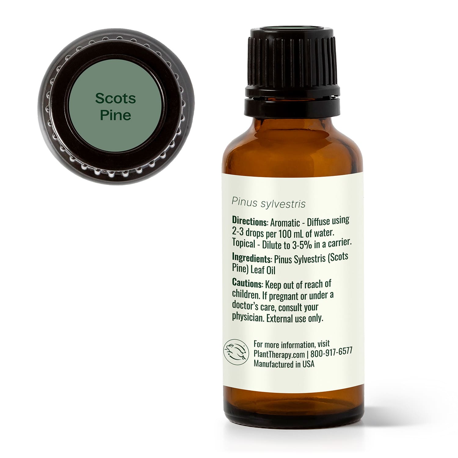 Scots Pine Essential Oil By Plant Therapy | The Plant Attraction