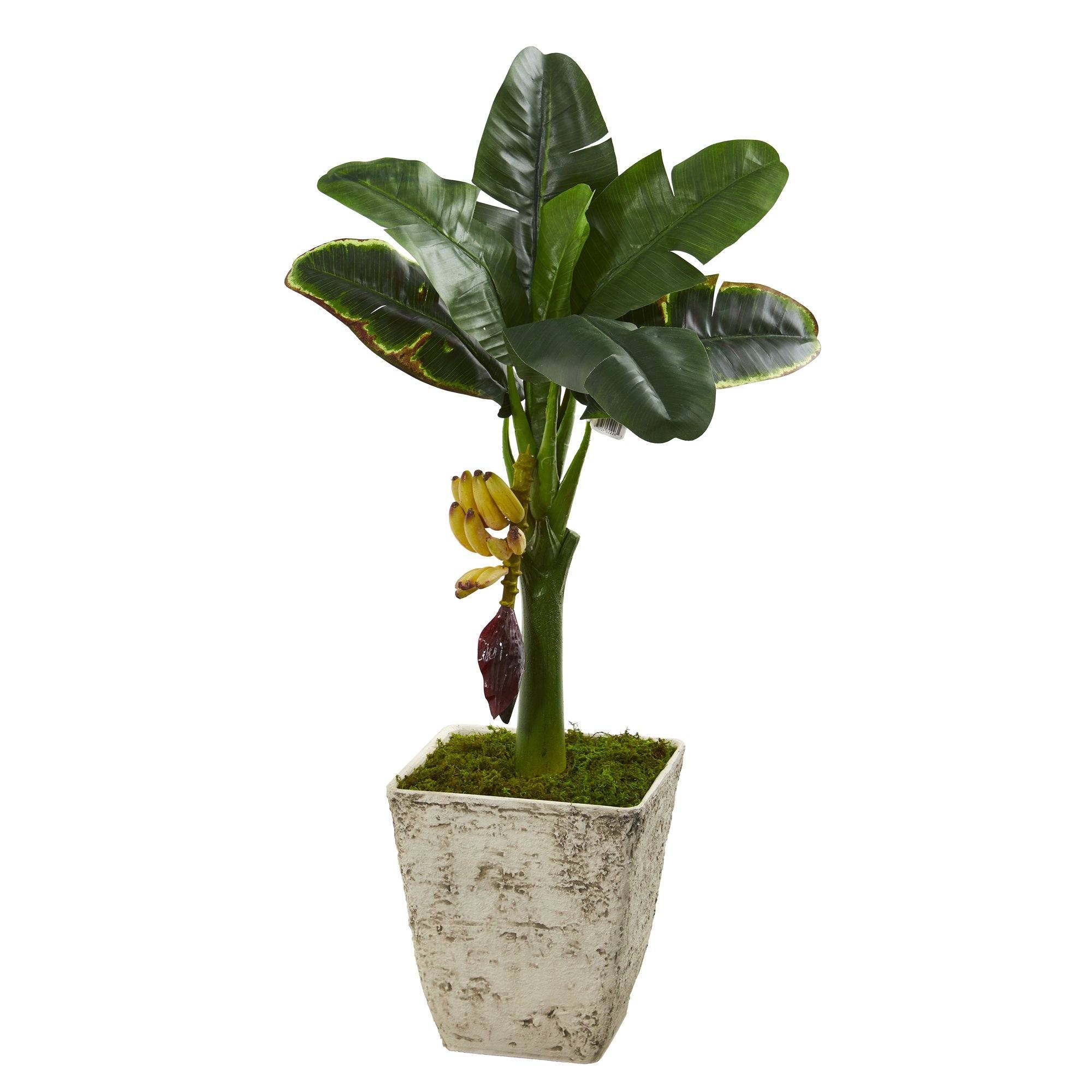 3’ Banana Artificial Tree in Country White Planter | The Plant Attraction