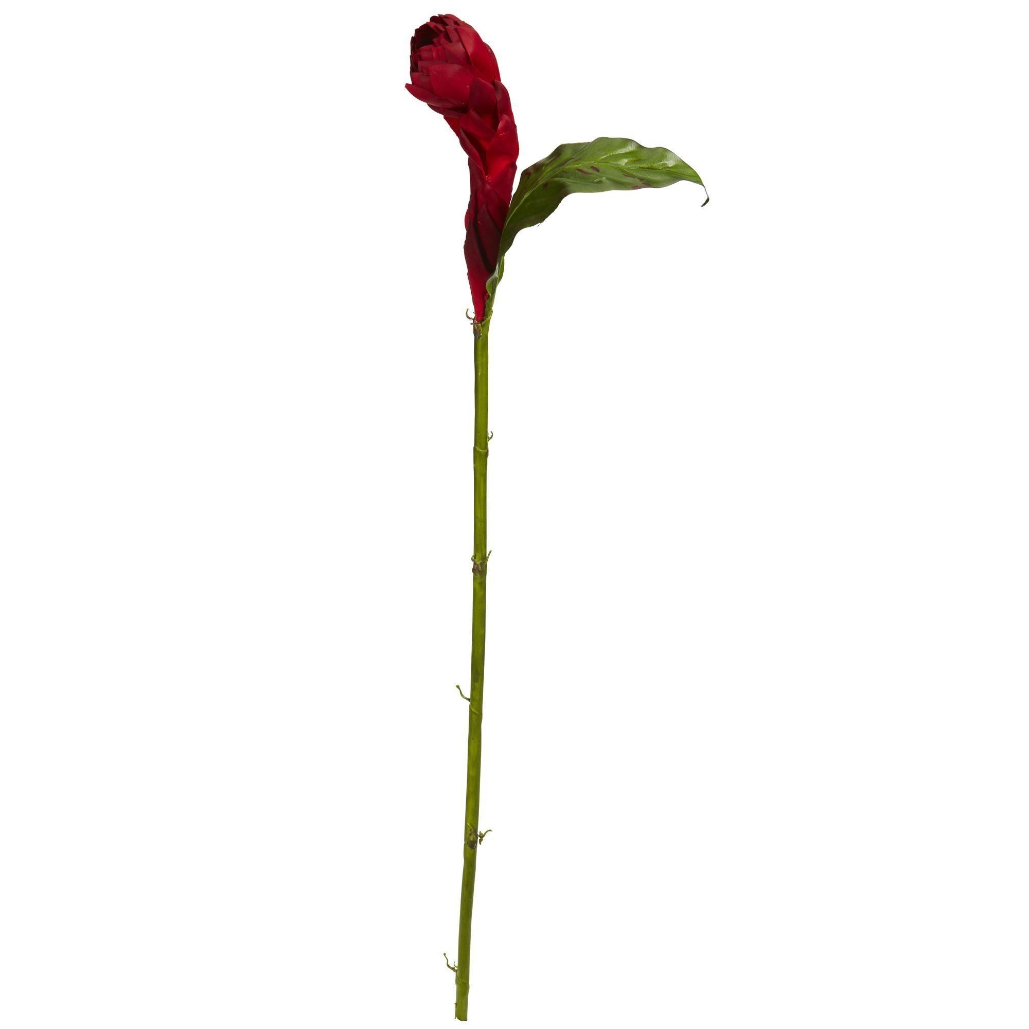 36” Ginger Artificial Flower (Set of 3) | The Plant Attraction