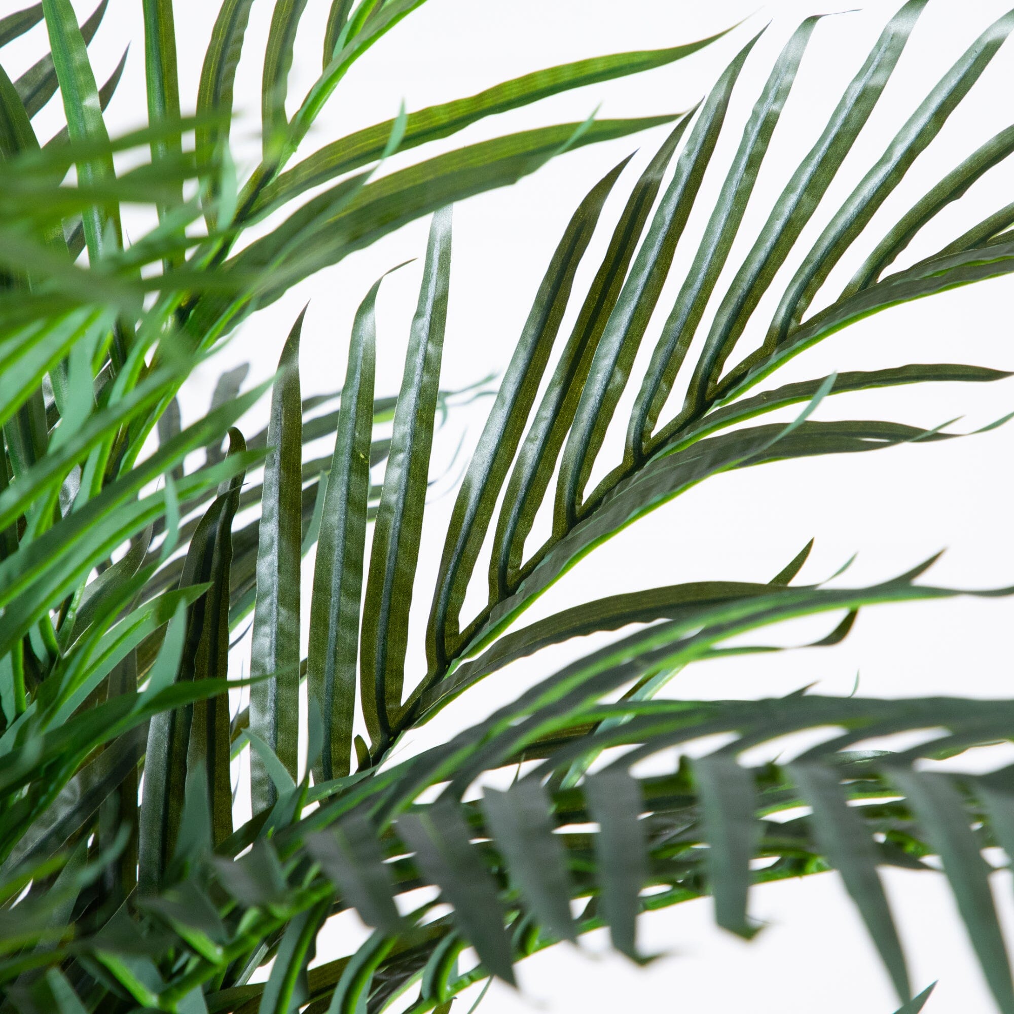 6' Robellini Palm Artificial Tree | The Plant Attraction
