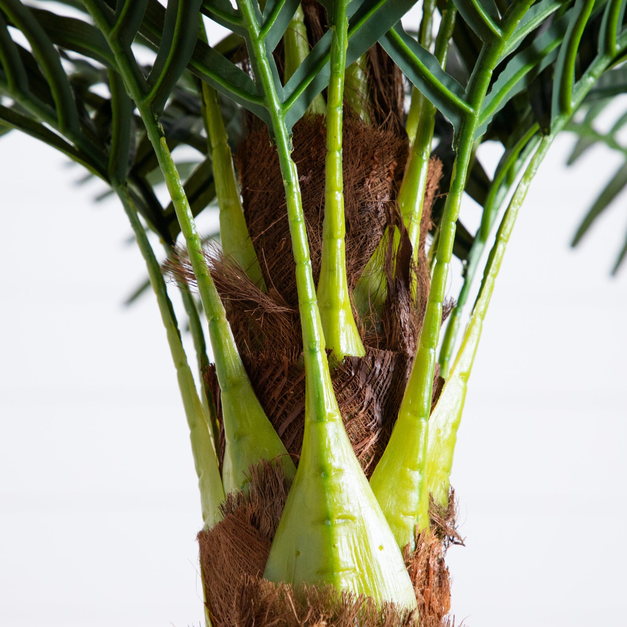 6' Robellini Palm Artificial Tree | The Plant Attraction