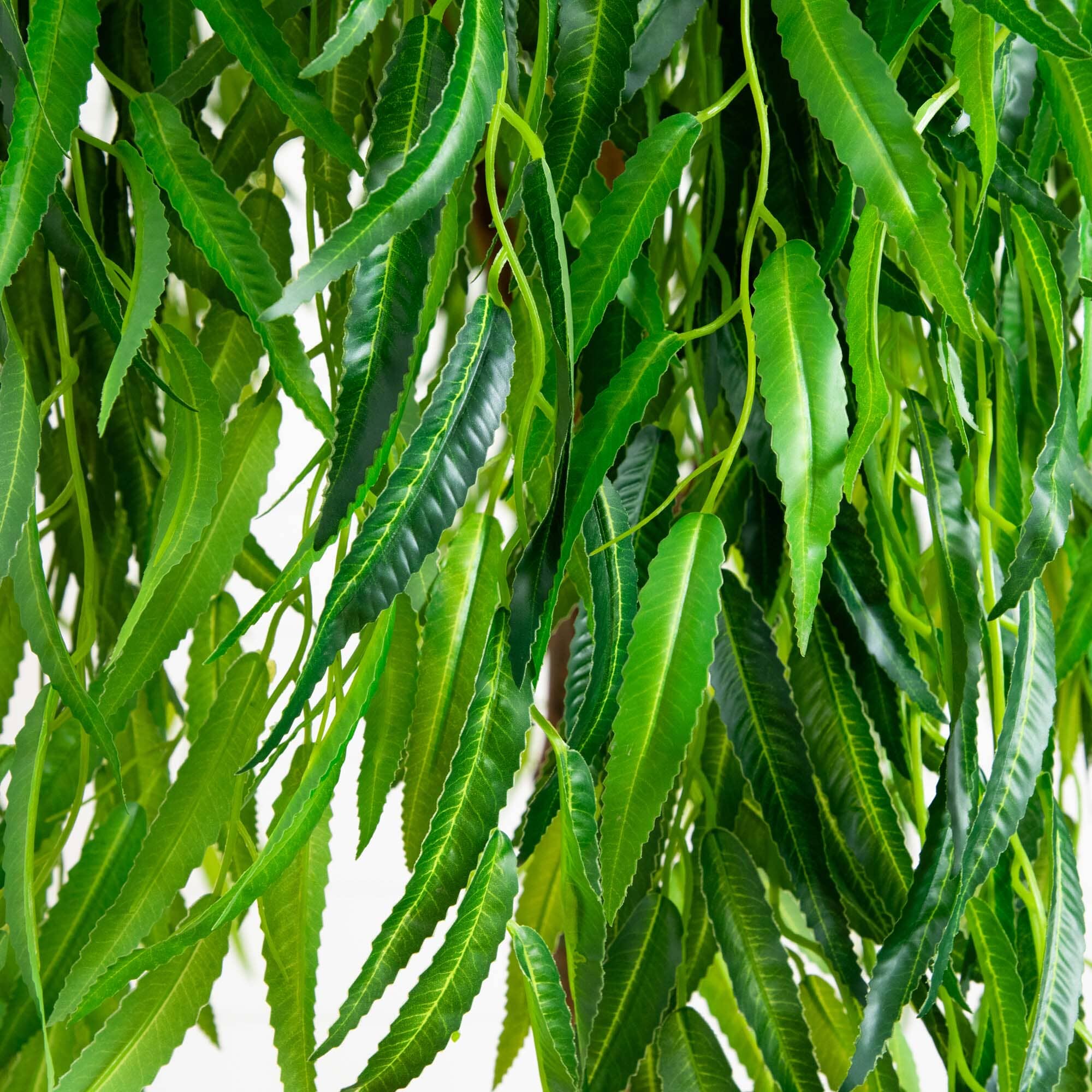 6’ Willow Artificial Tree (Real Touch) | The Plant Attraction