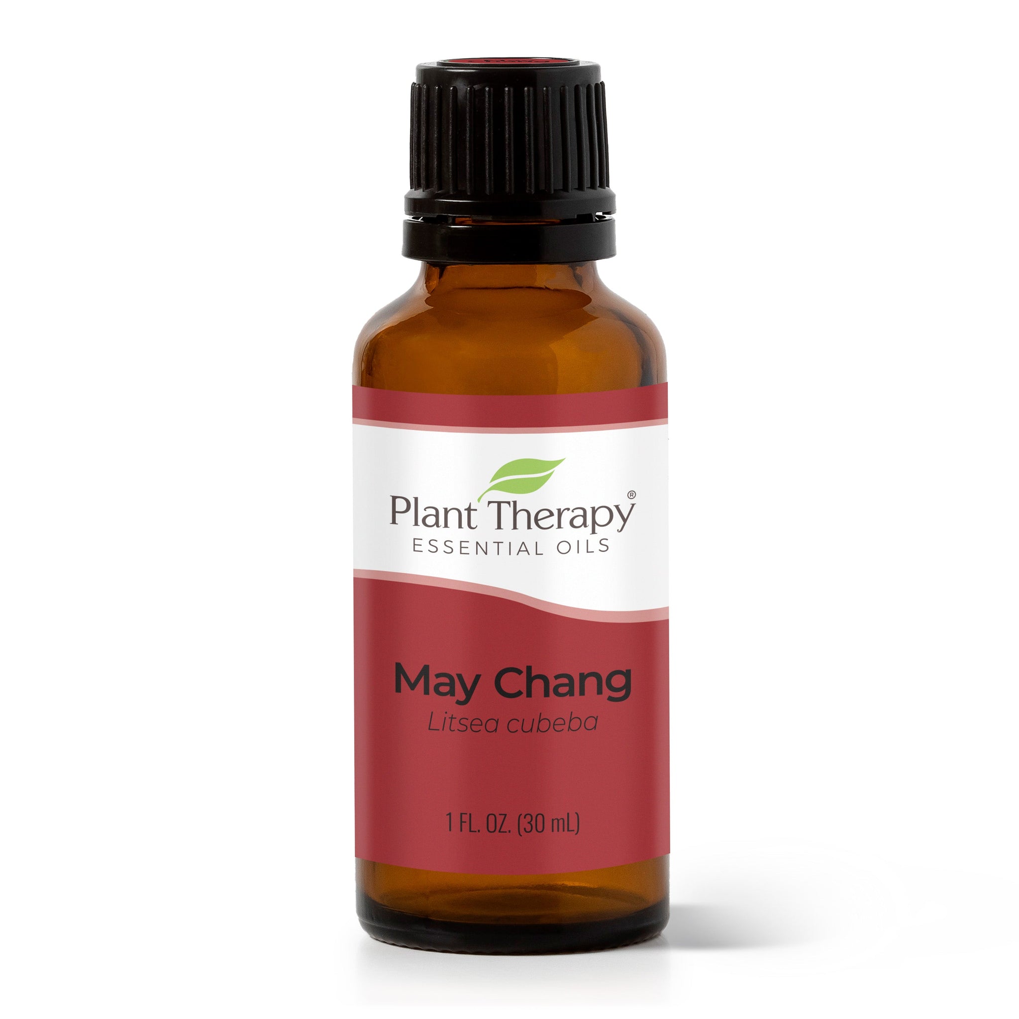 May Chang Essential Oil By Plant Therapy | The Plant Attraction