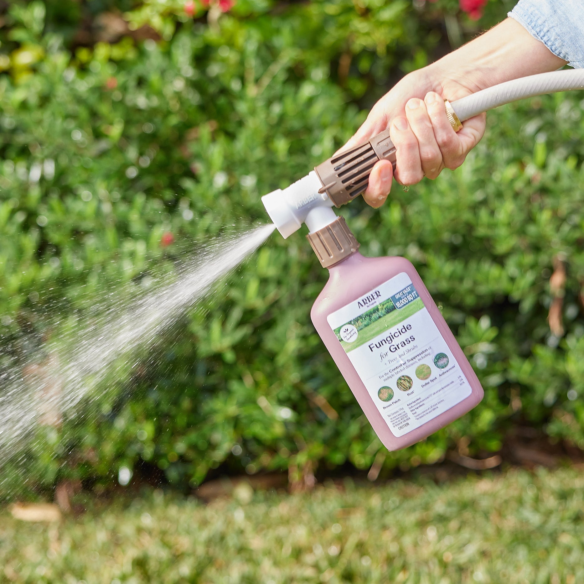 Organic Fungicide for Grass, Trees & Shrubs By Arber | The Plant Attraction