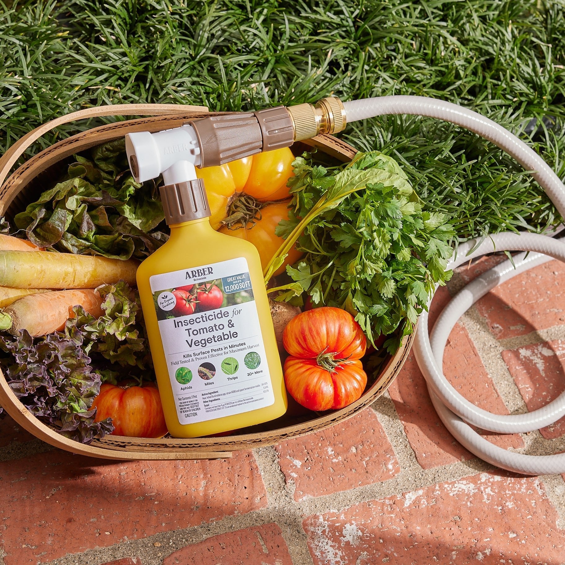 Organic Insecticide for Tomato & Vegetable Plants By Arber | The Plant ...