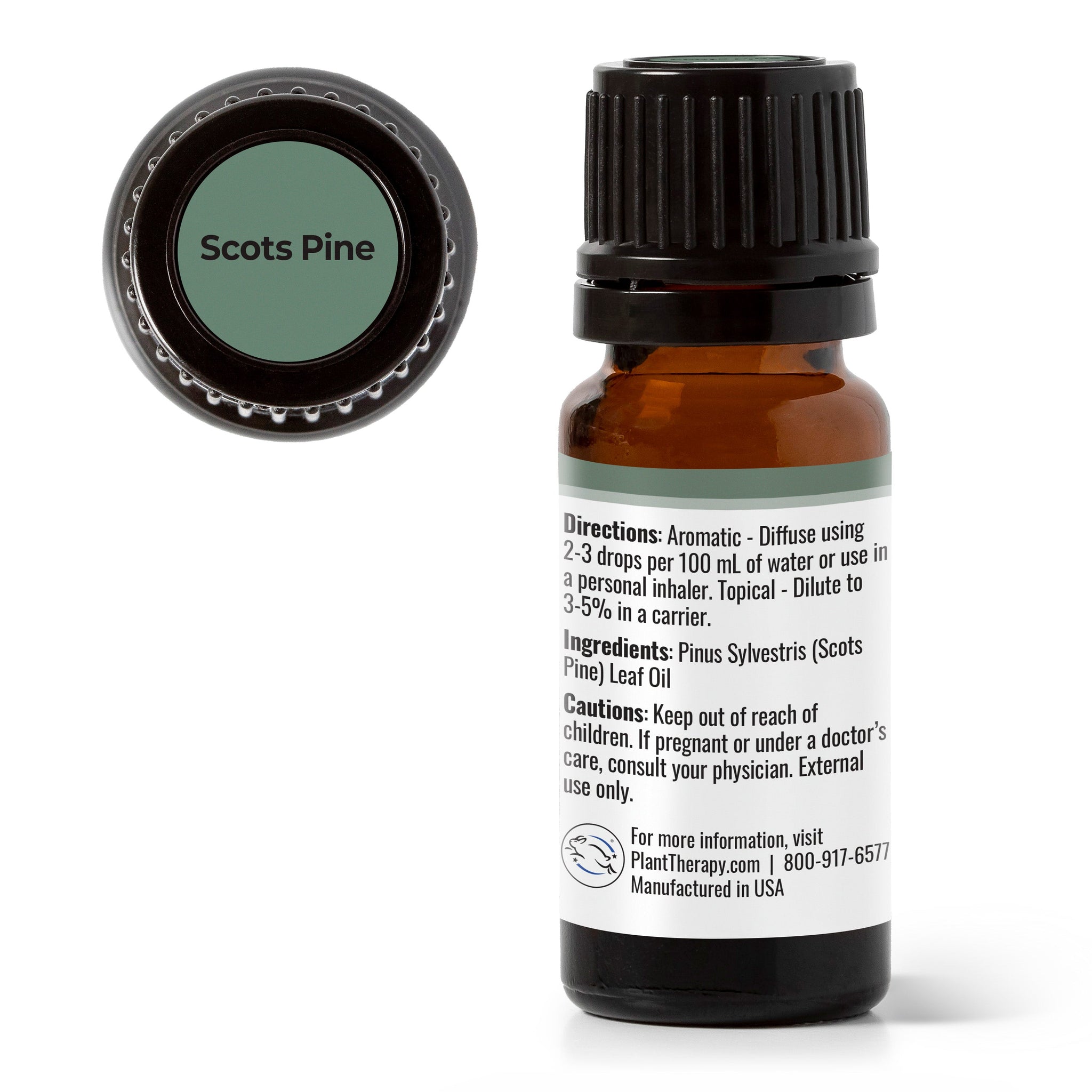 Scots Pine Essential Oil By Plant Therapy | The Plant Attraction